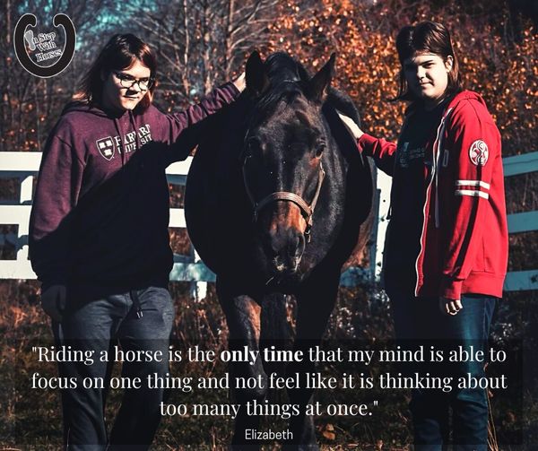 Home - In Step With Horses