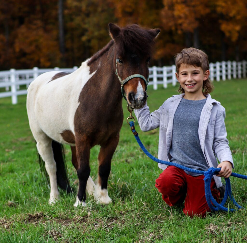 2023 Year End Gift - In Step With Horses