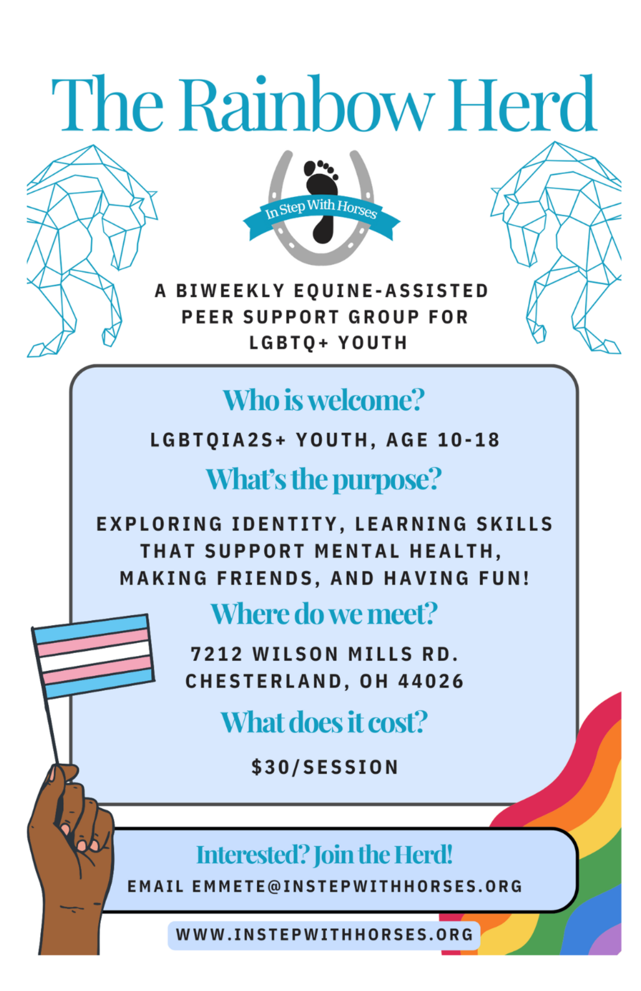 Groups For Kids & Teens - In Step With Horses